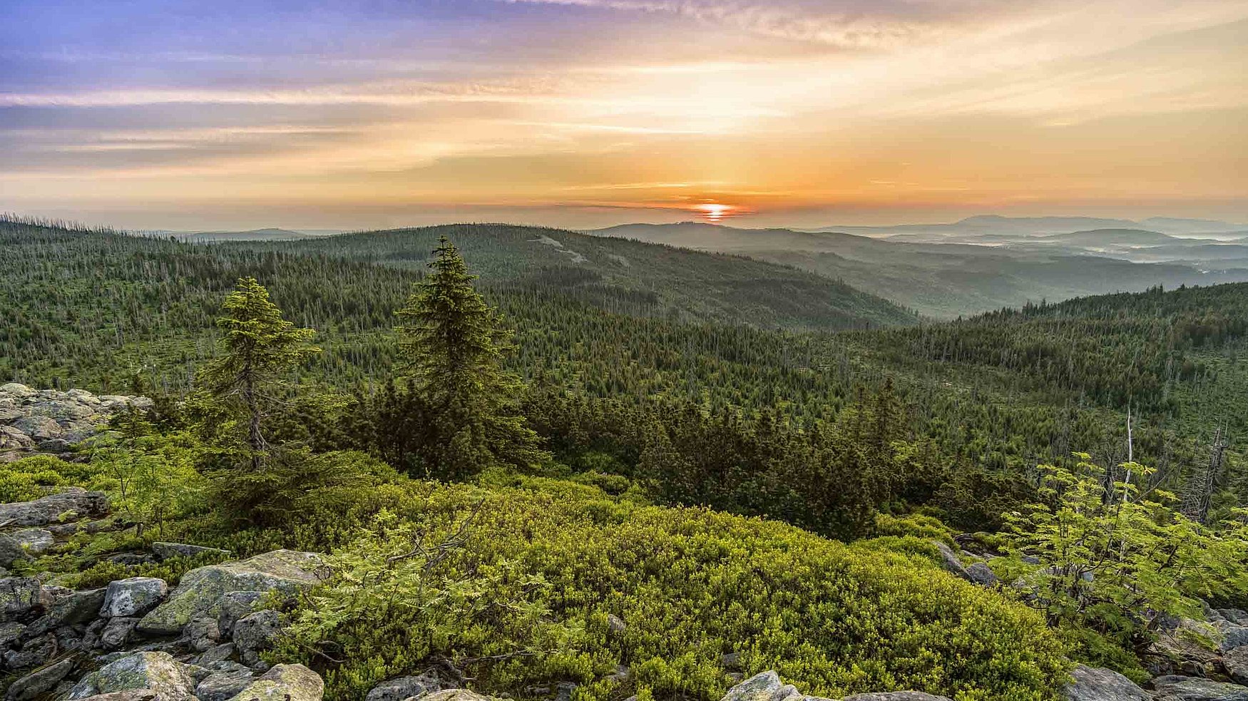 Arnschwang im Bayerischen Wald - Bayern-online.de