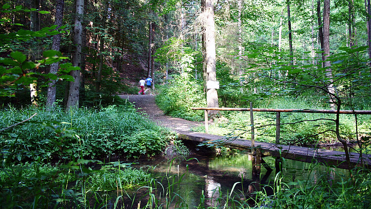 Geführte Wanderung rund um Pottenstein