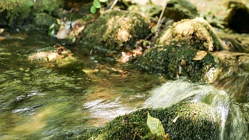 Kasendorf Fränkische Schweiz Urlaub Wandern Klettern Familien ...