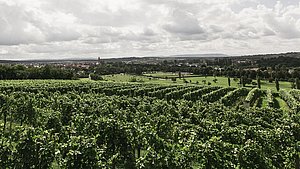 Gerbrunn im Fränkischen Weinland - Bayern-online.de